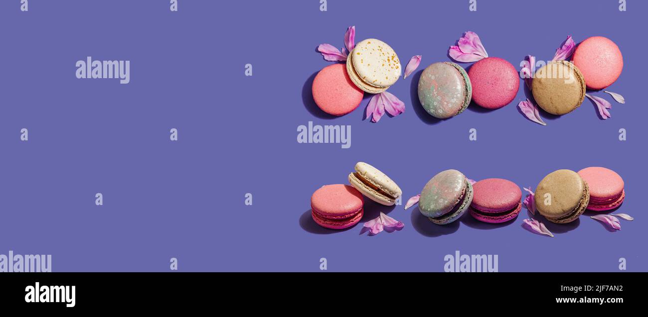 Macarons with peonies flower petals on very peri color background ...