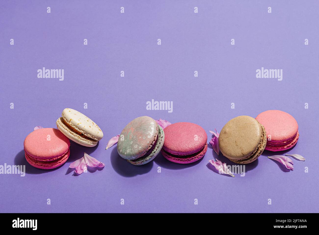 Macarons with peonies flower petals on very peri color background ...