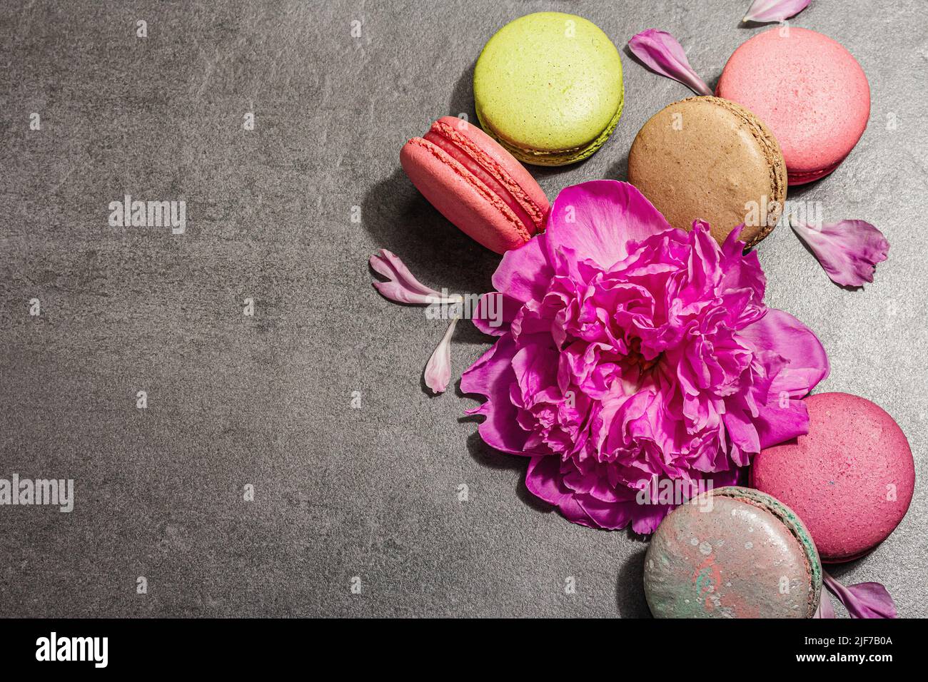 Macarons with peony flower on a stone background. Sweet dessert ...