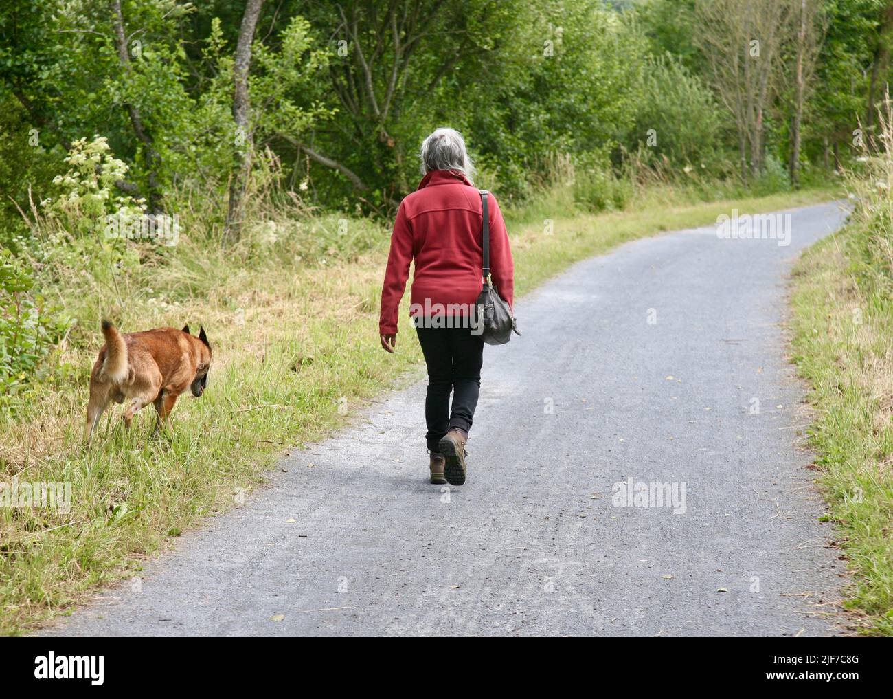 Doggie style hi-res stock photography and images - Alamy