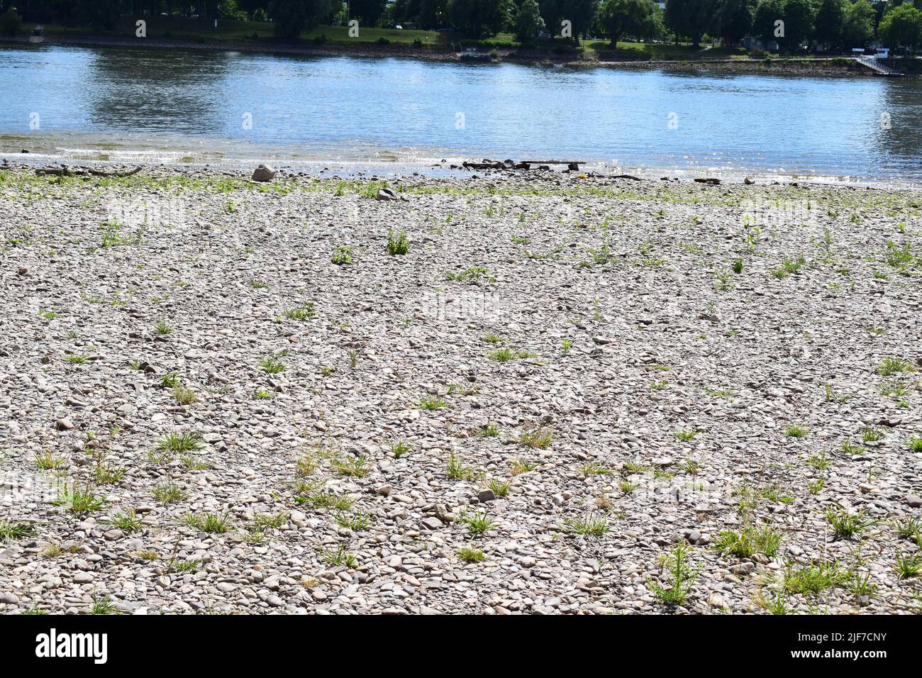 Rhine beach in Bonn Stock Photo - Alamy