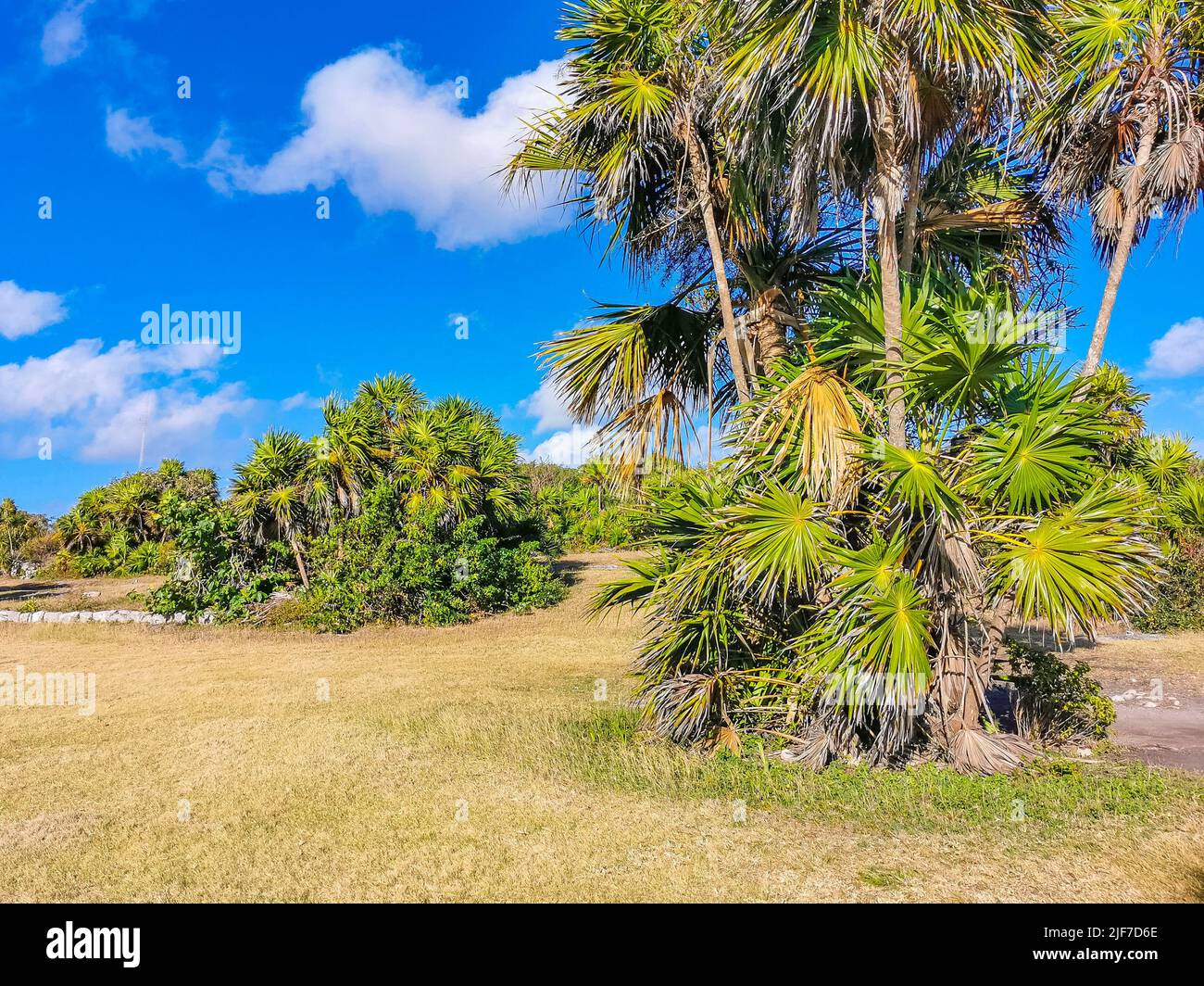 Ancient Tulum ruins Mayan site with temple ruins pyramids and artifacts ...