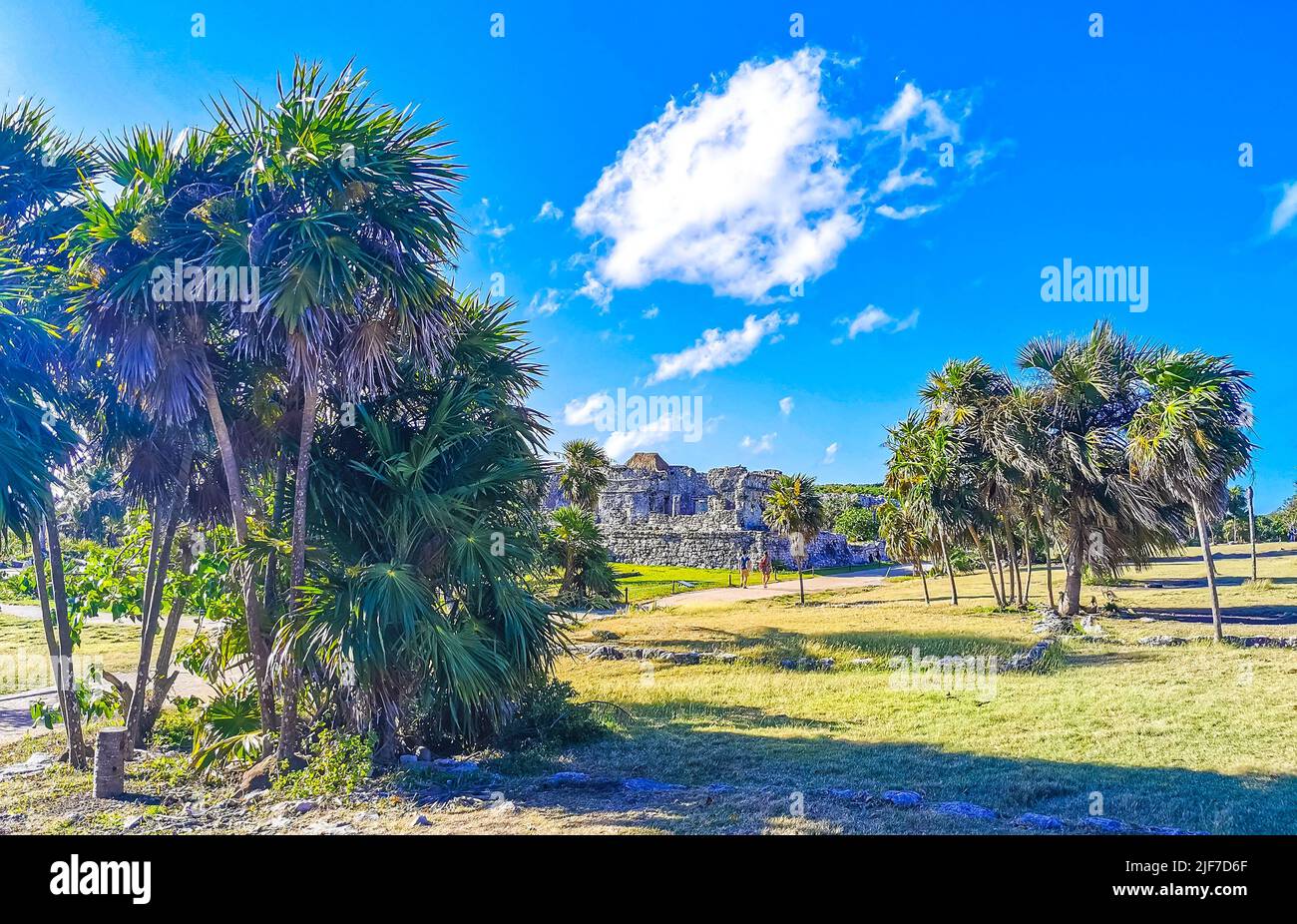 Ancient Tulum ruins Mayan site with temple ruins pyramids and artifacts ...