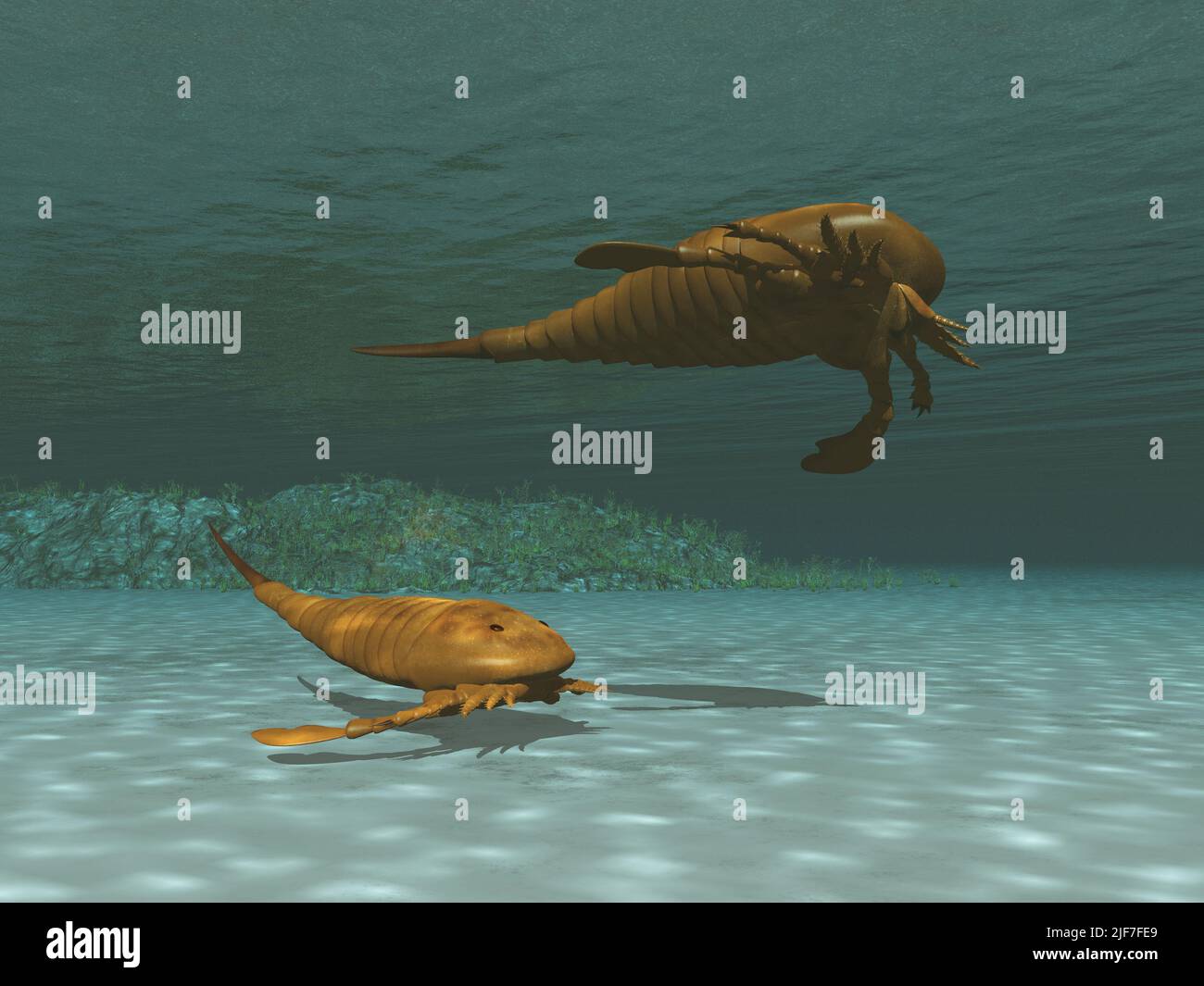 3d illustration of two eurypterids Stock Photo - Alamy