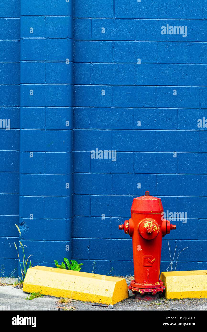 Blue painted wall with a red fire hydrant and yellow guard blocks at ...