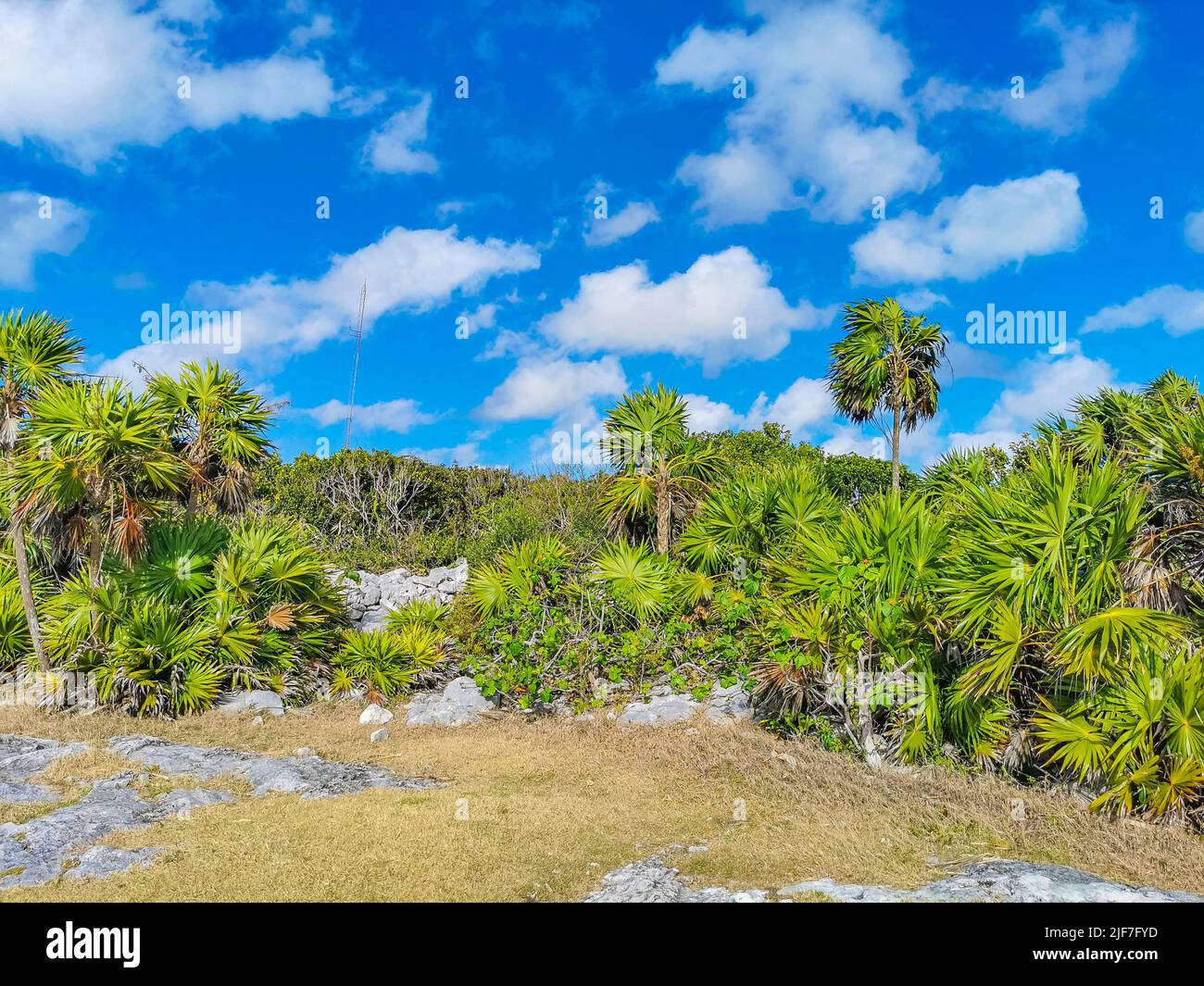 Ancient Tulum ruins Mayan site with temple ruins pyramids and artifacts ...