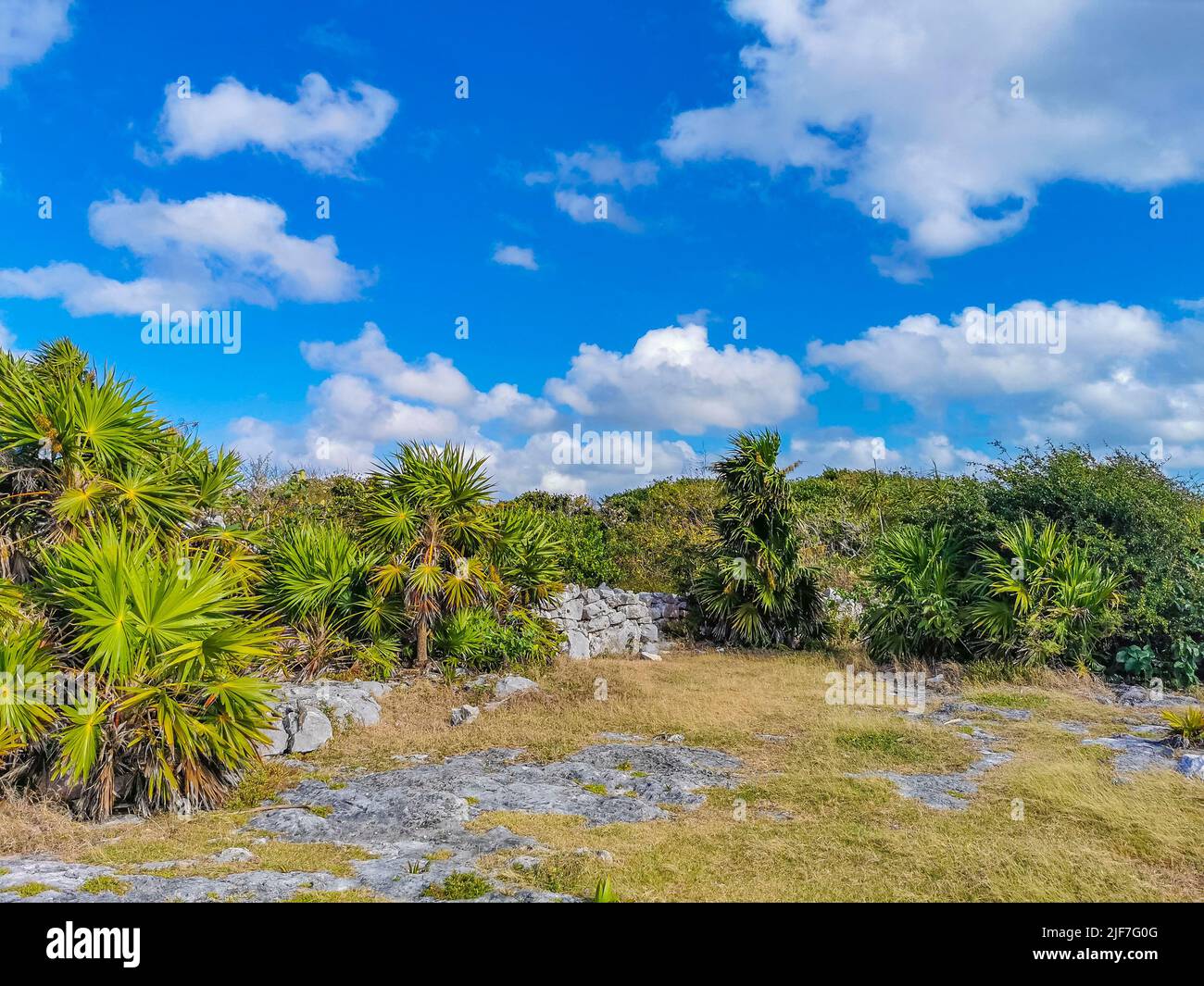 Ancient Tulum ruins Mayan site with temple ruins pyramids and artifacts ...