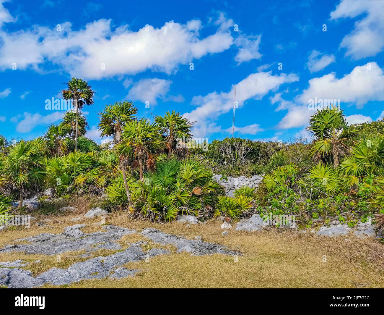 Ancient Tulum ruins Mayan site with temple ruins pyramids and artifacts ...