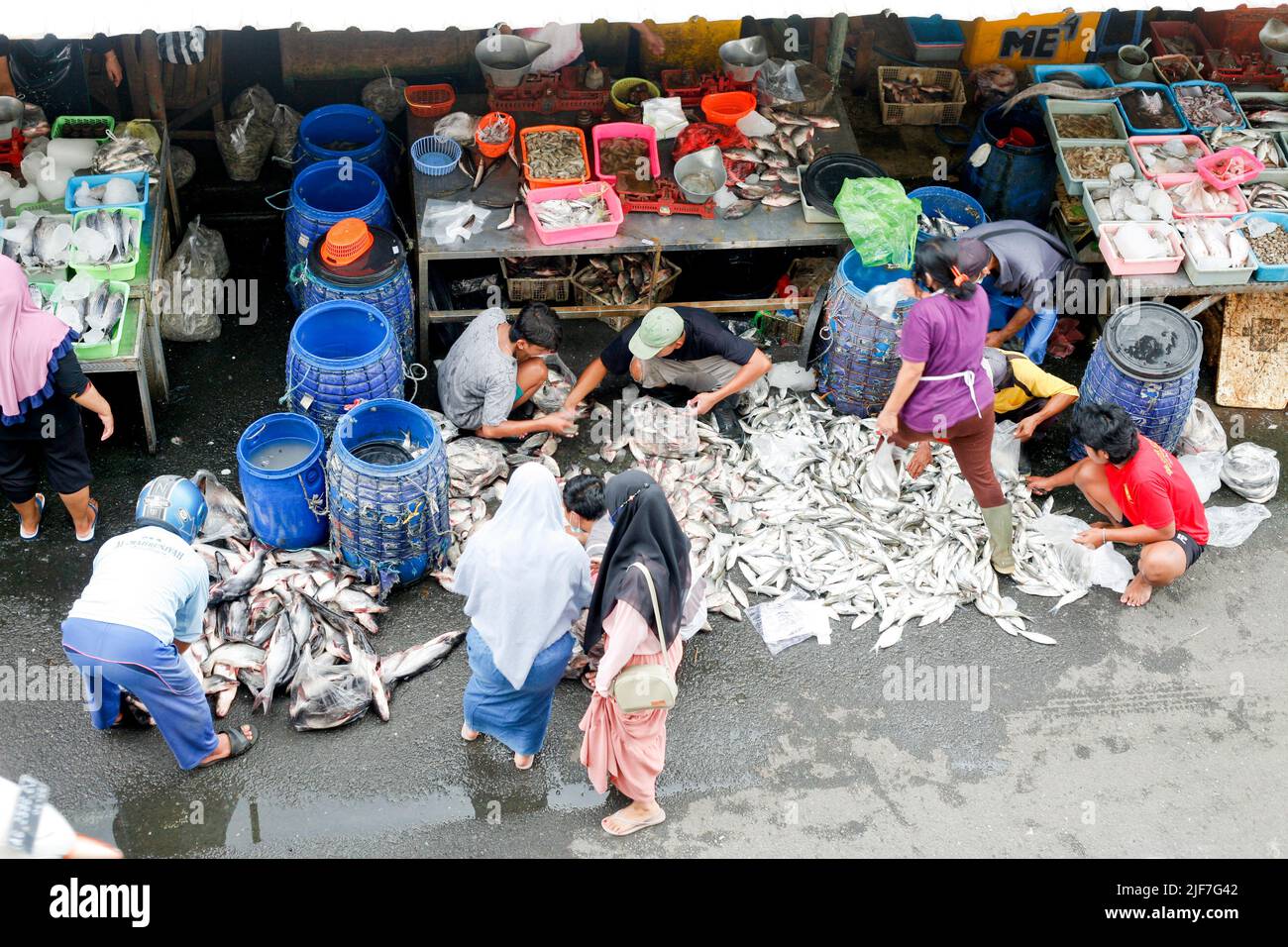 Customer of traditional fish market choosing and picking in the side of ...