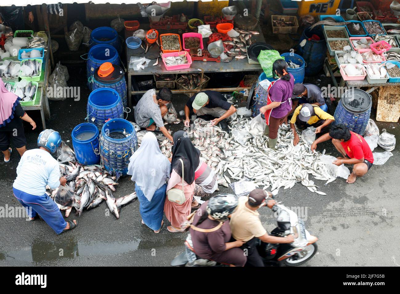 Customer of traditional fish market choosing and picking in the side of ...