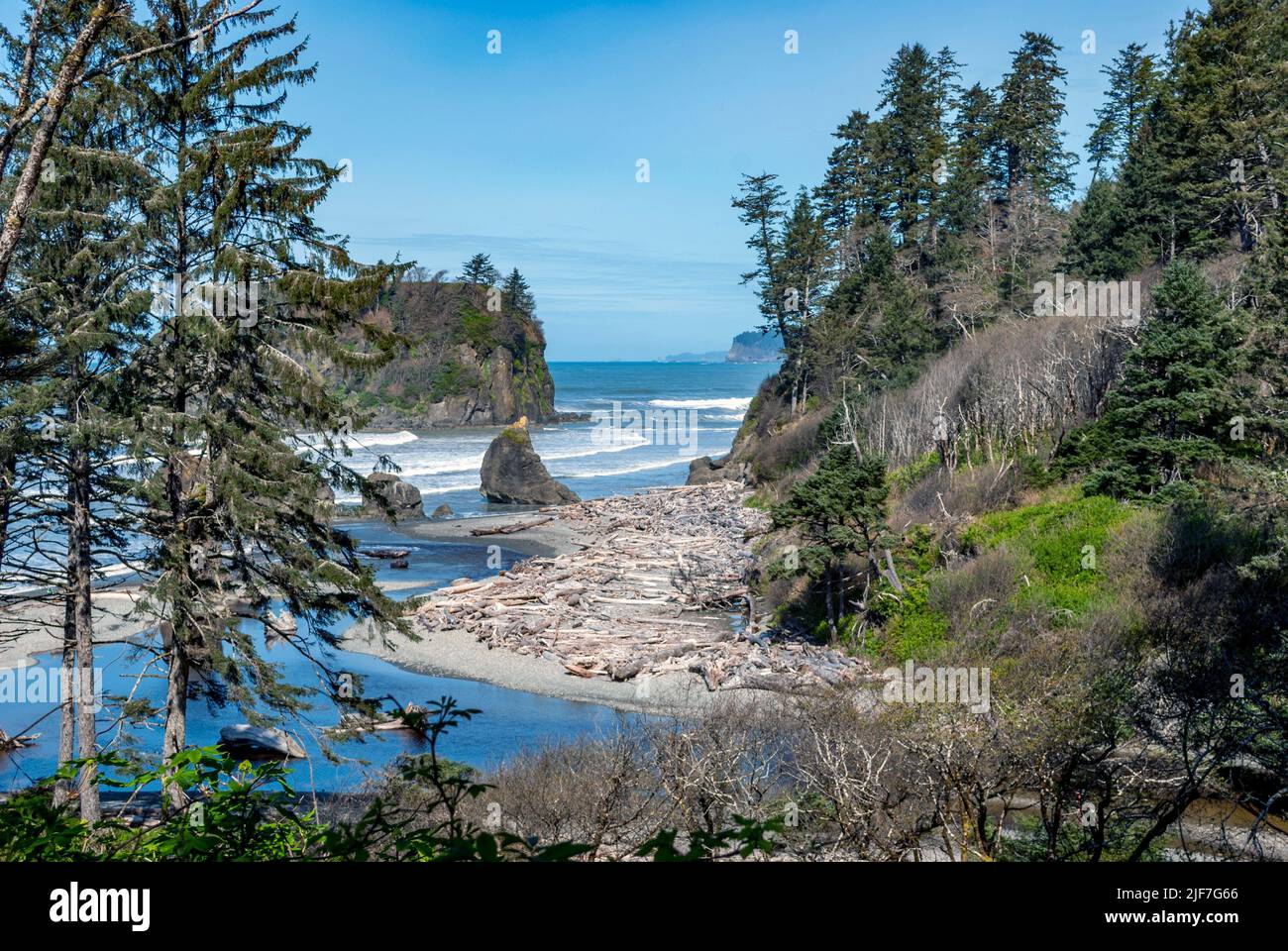The shore with pine trees against the blue sea and sky. Ruby Beach ...