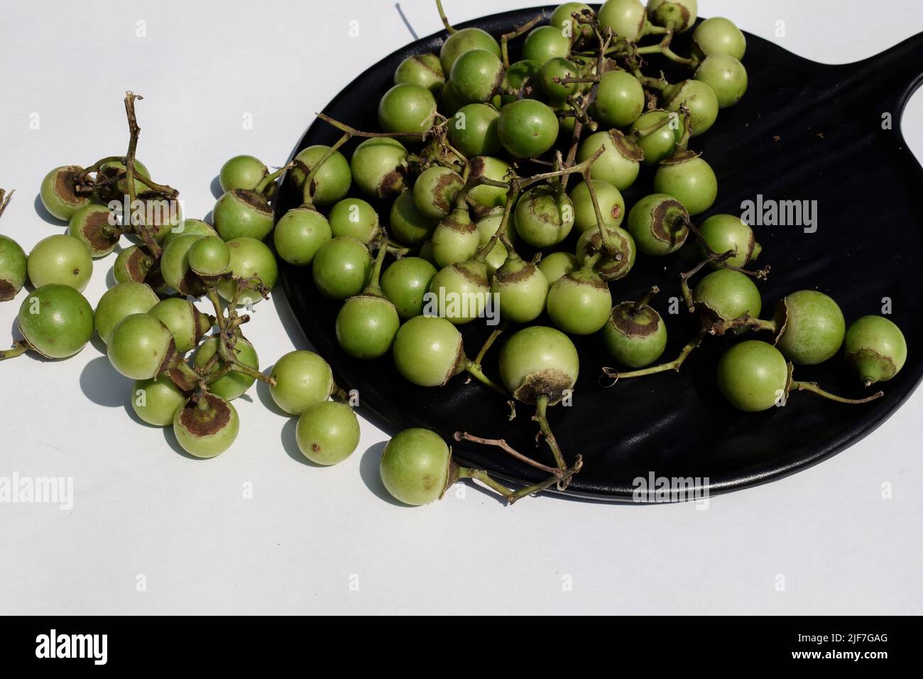 Indian fruit Green Fragrant manjack or snotty gobbles also known as ...