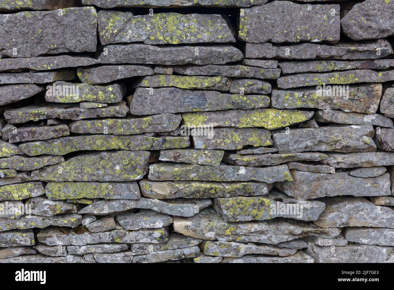 The stone fortification wall is covered with yellow moss. Grey and ...