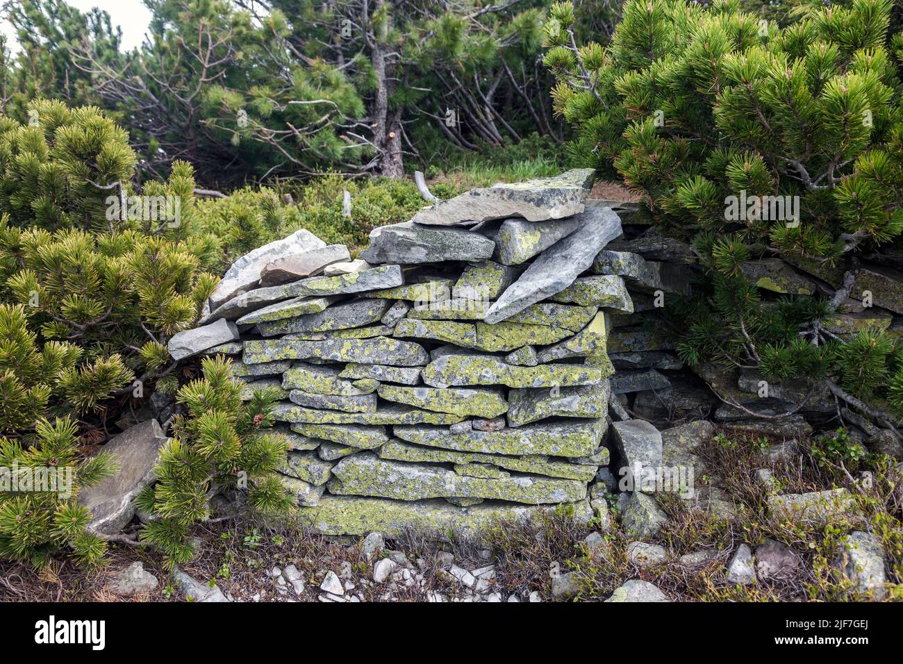 Stone fortification wall from the First World War covered with yellow ...