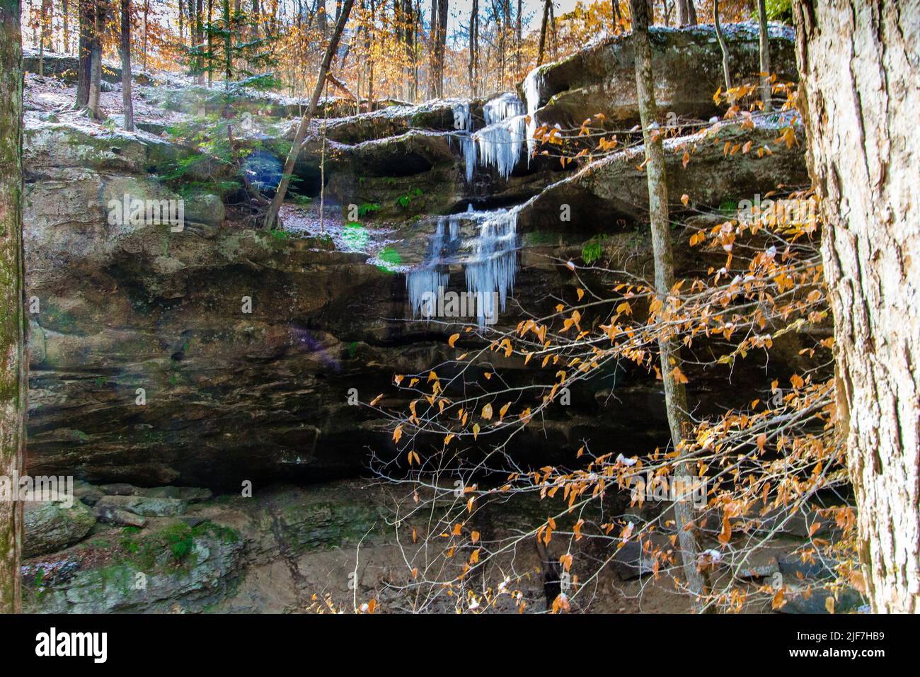 Frozen hemlock hi-res stock photography and images - Alamy