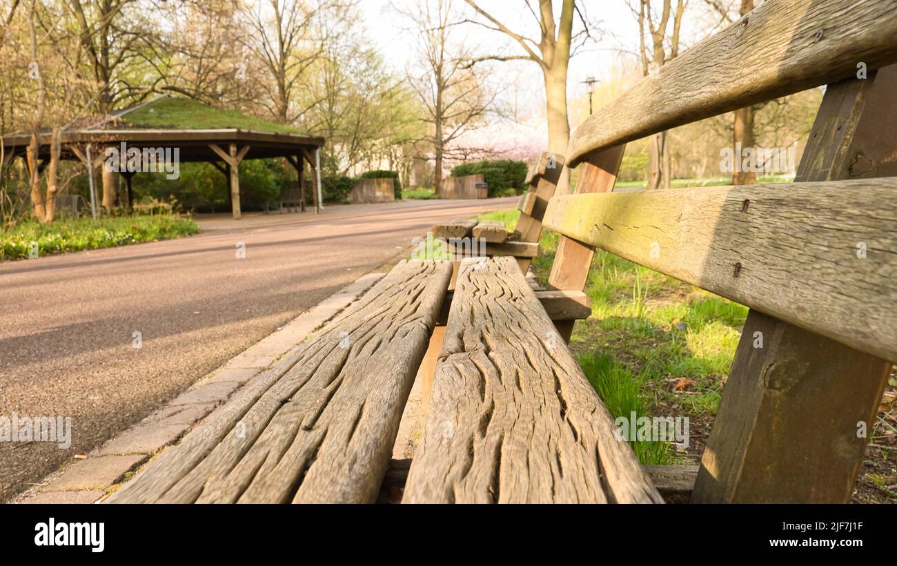 Park bench in the park. Bench made of wood. Resting after a walk. Photo ...