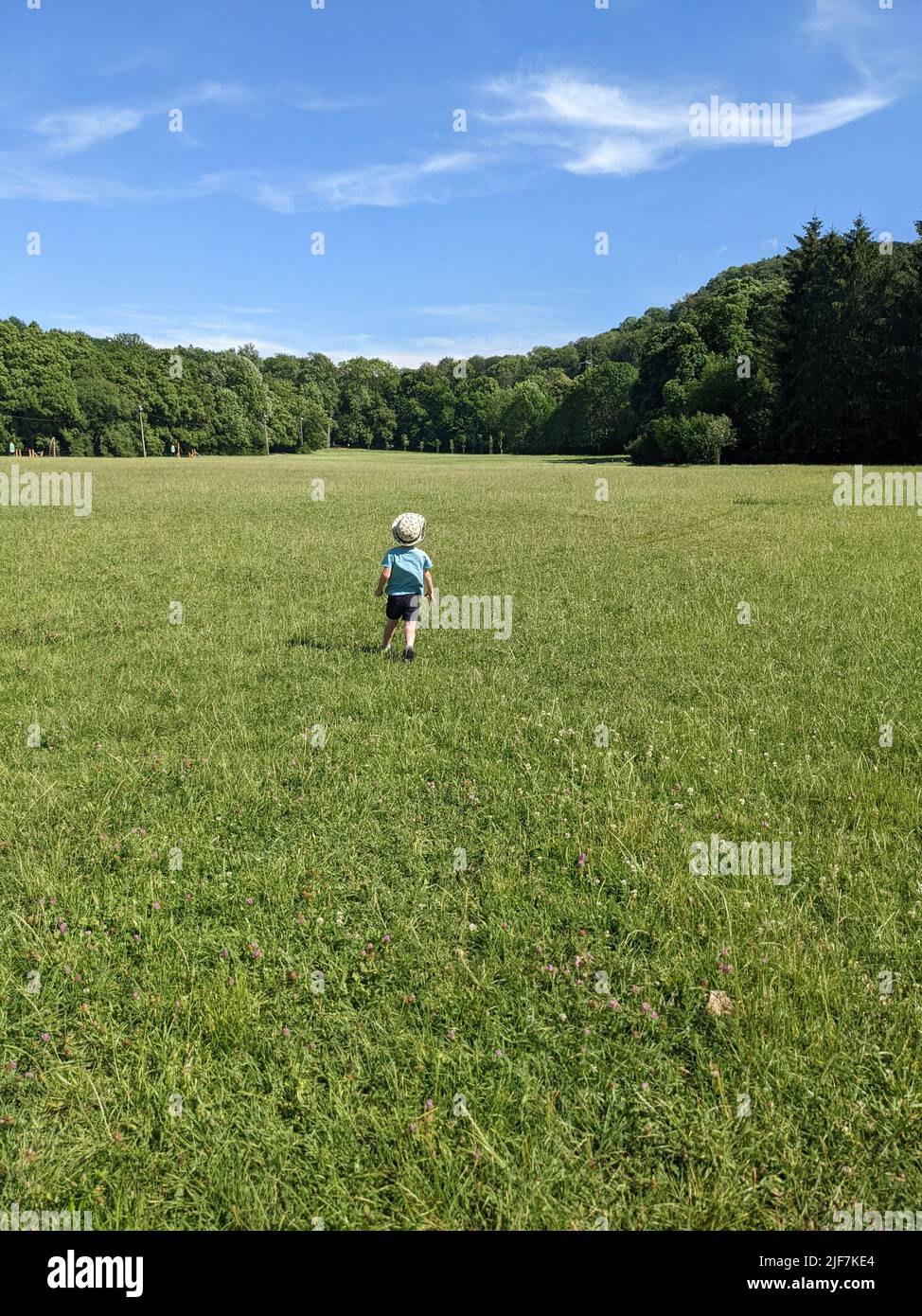 The boy runs across the field near the forest Stock Photo - Alamy