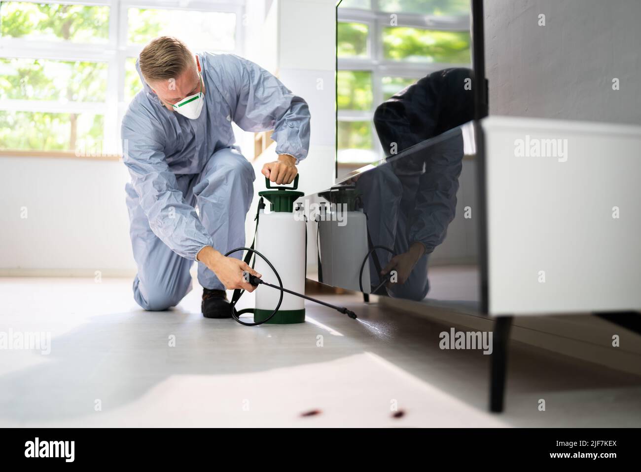 Pest Control Exterminator Services Spraying Termite Insecticide Stock ...