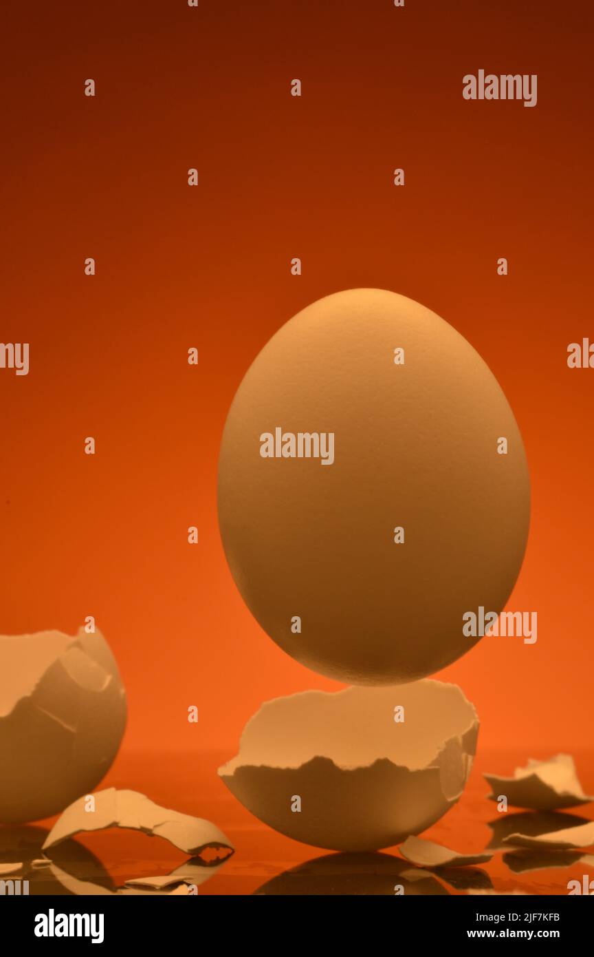 Golden egg shells hi-res stock photography and images - Alamy