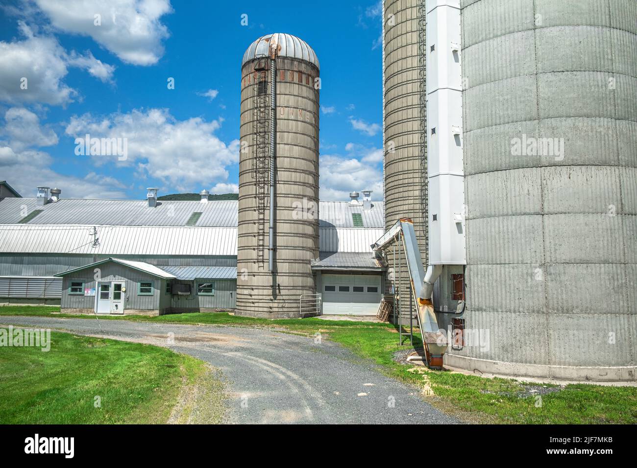 Three concrete silos next to a cow barn. Access to grains is difficult ...