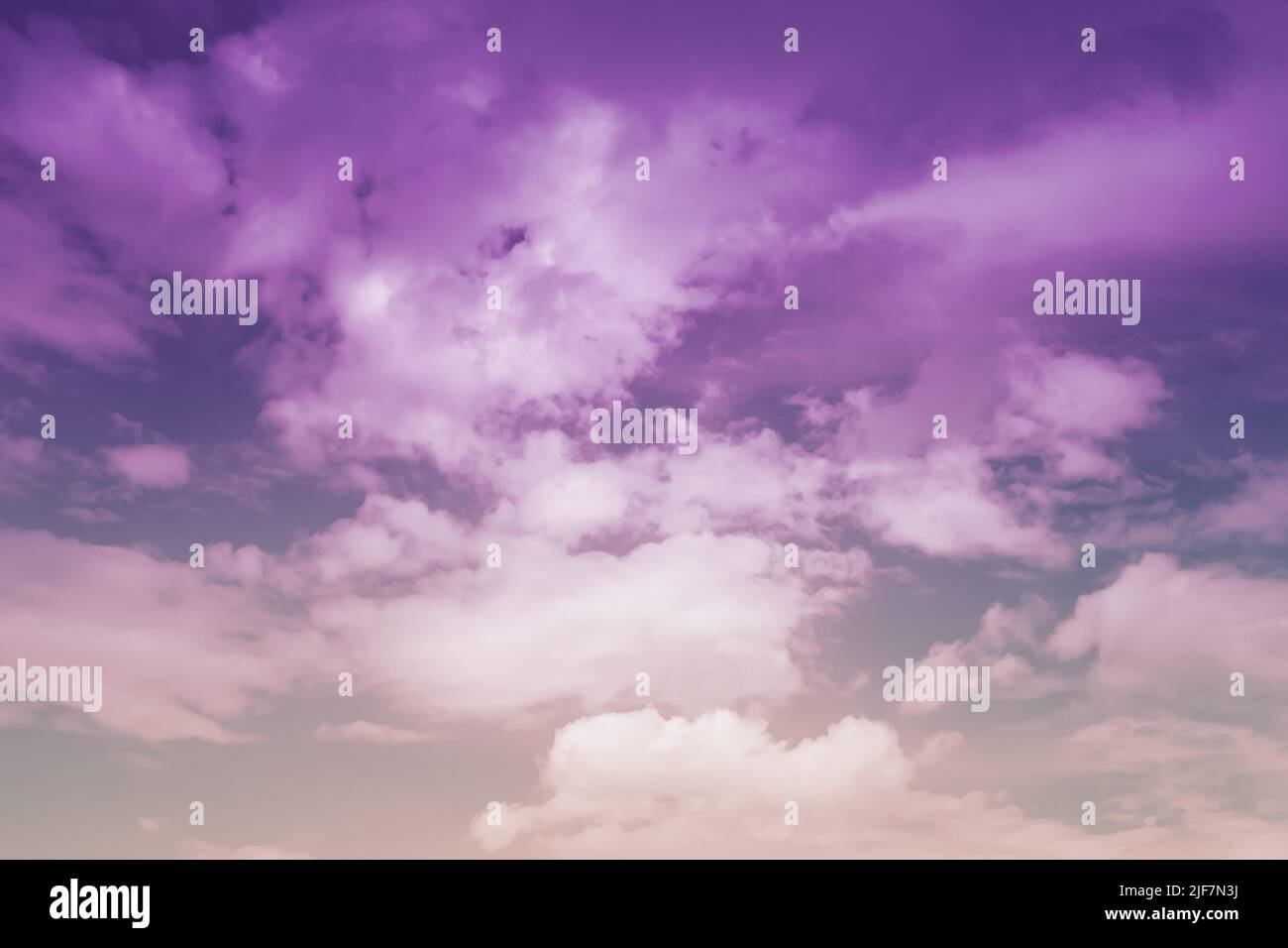 Colorful dramatic lilac sky and ultra violet clouds, nature background ...
