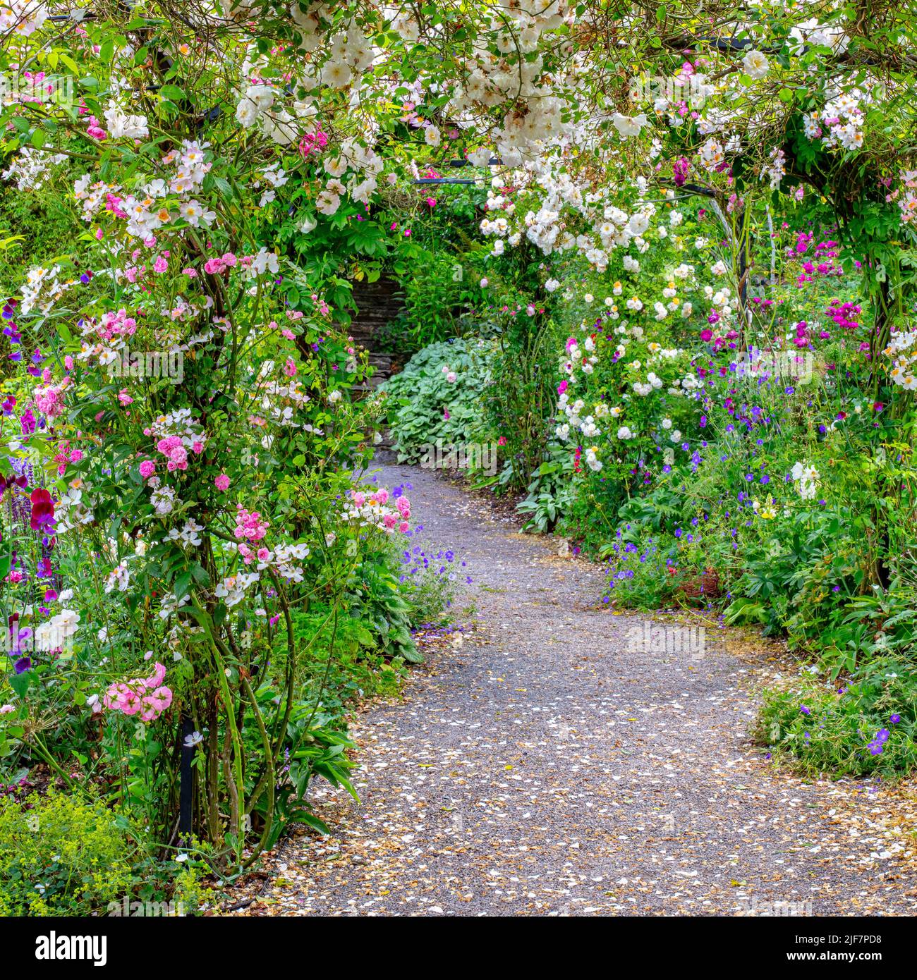 Rose arbour hi-res stock photography and images - Alamy