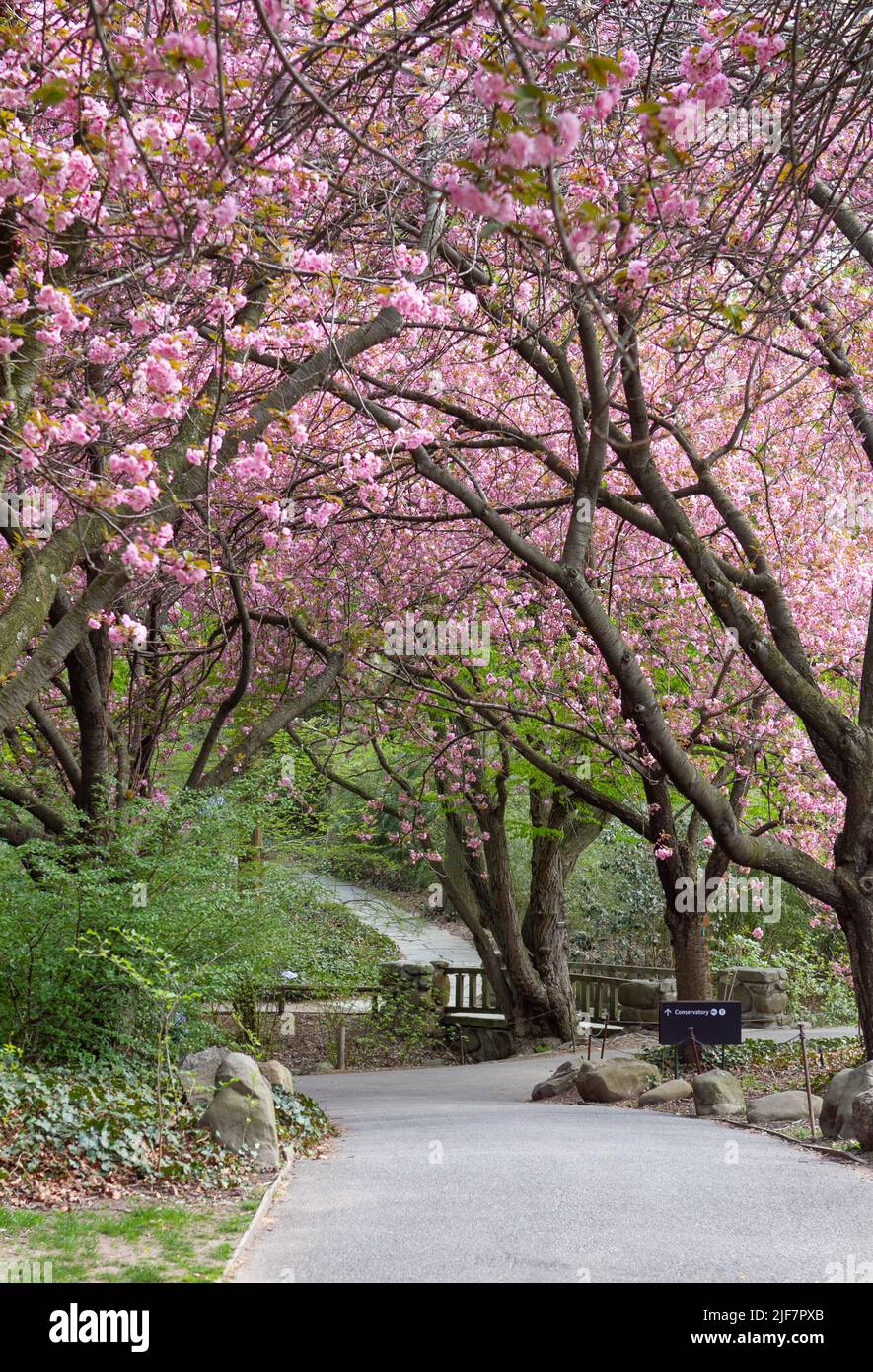 Pathway in a park hi-res stock photography and images - Alamy