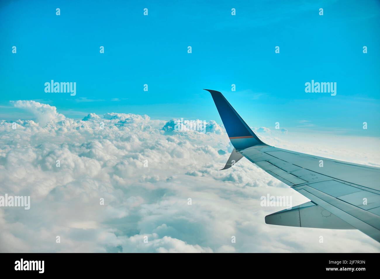 Taking photo on smart phone concept. Wing of an airplane in the sunset ...