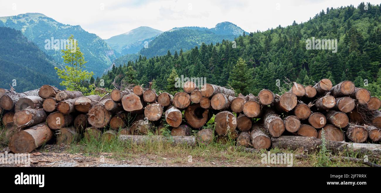 Round logs stacked stack wood hi-res stock photography and images - Alamy