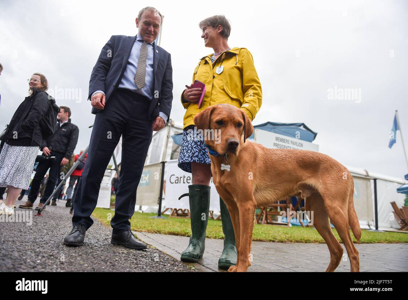 Selaine saxby mp for north cornwall hi-res stock photography and images ...