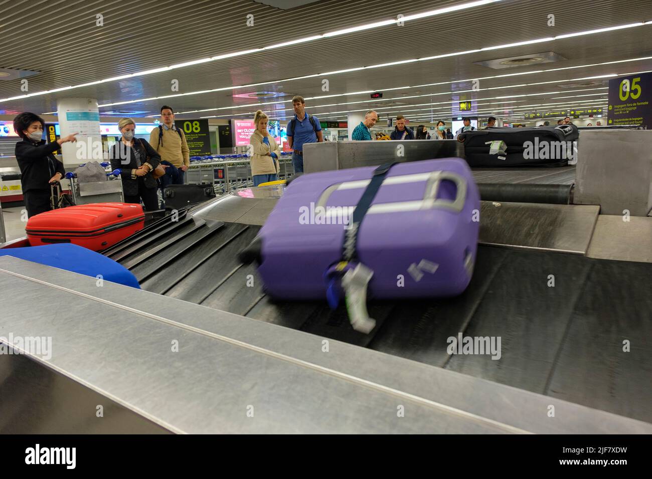 Baggage hall and retrieval of the luggages wich are coming out on the ...