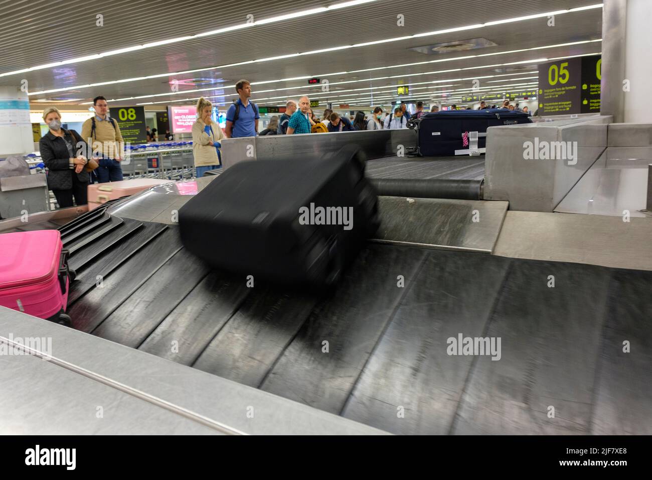 Baggage hall and retrieval of the luggages wich are coming out on the ...