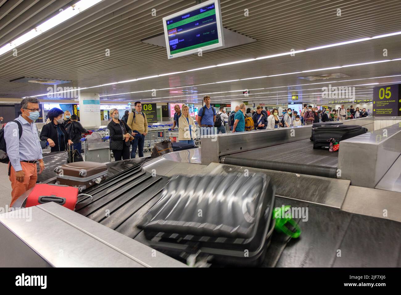 Baggage hall and retrieval of the luggages wich are coming out on the ...