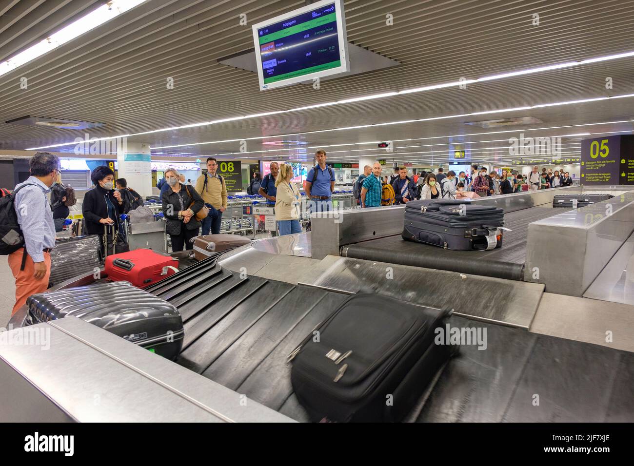 Baggage hall and retrieval of the luggages wich are coming out on the ...