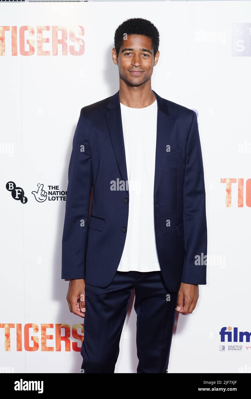 Alfred Enoch seen arriving at the UK premiere of Tigers at the Curzon ...