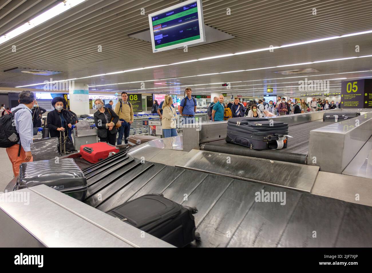 Baggage hall and retrieval of the luggages wich are coming out on the ...