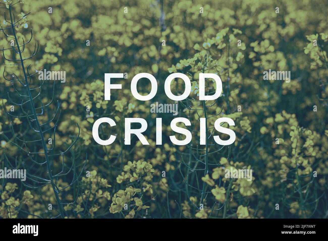 Food and conflict hi-res stock photography and images - Alamy
