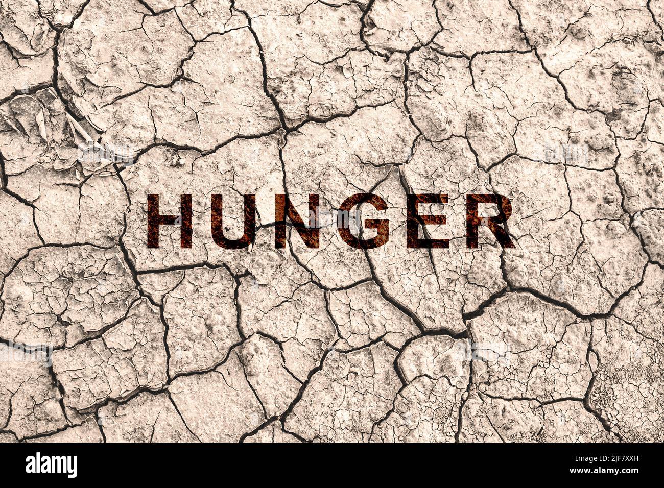 Global hunger crisis hi-res stock photography and images - Alamy