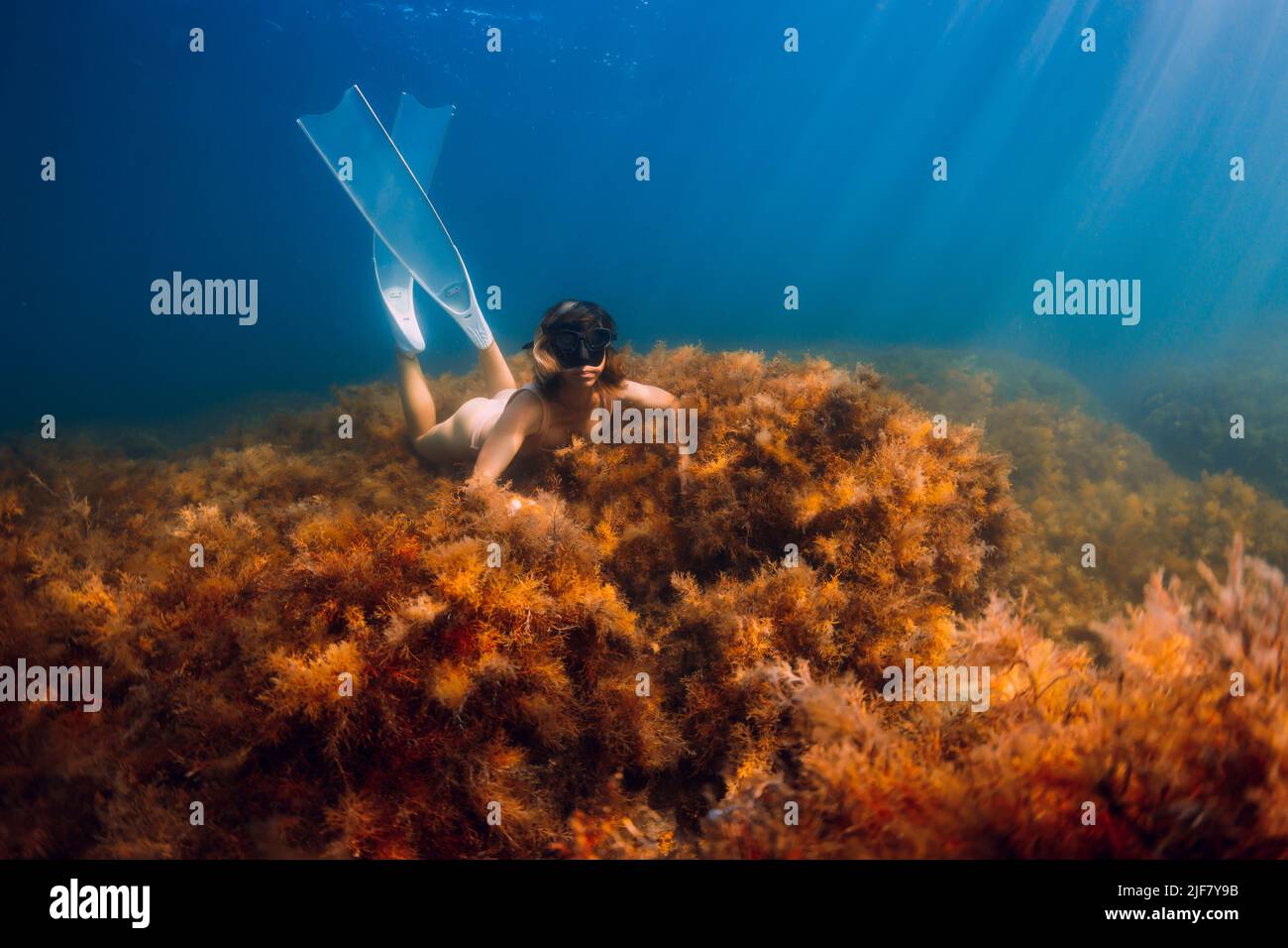 Freediver girl with white fins posing in underwater on bottom with ...