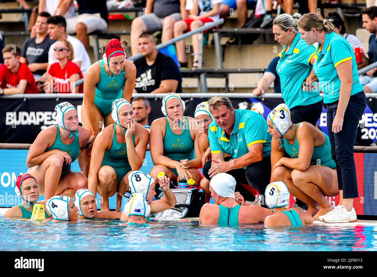 Gabriella palm High Resolution Stock Photography and Images - Alamy