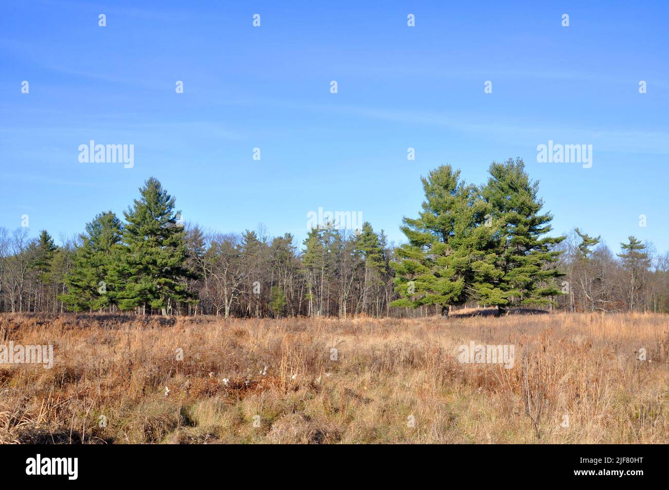Saratoga National Historical Park, Saratoga County, Upstate New York NY ...