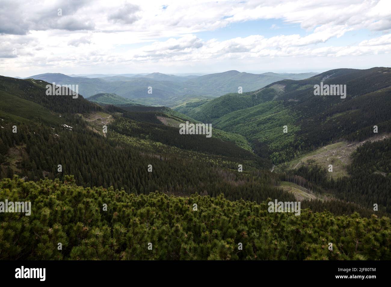 Top down cross section hi-res stock photography and images - Alamy