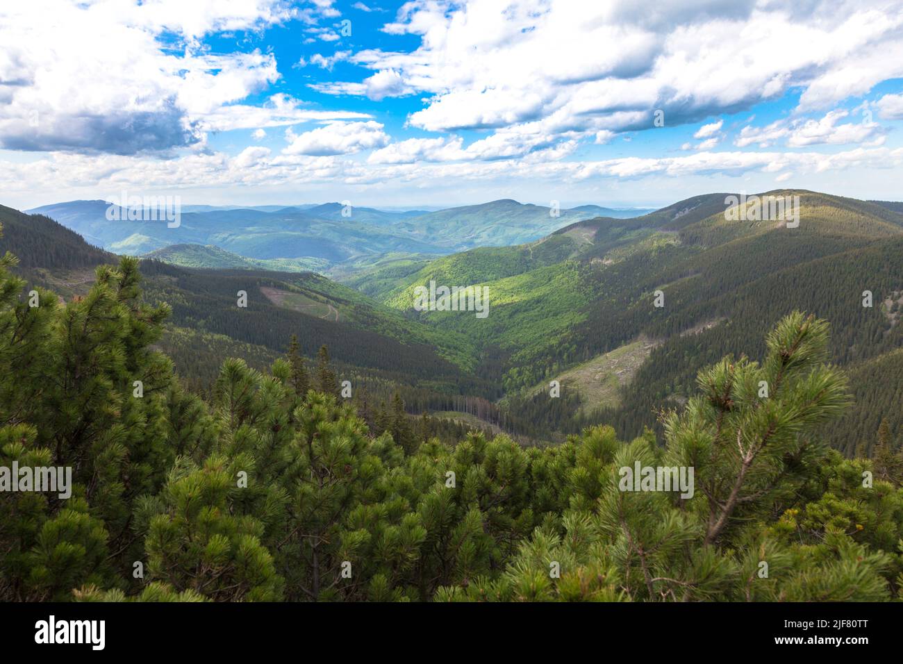 Top down cross section hi-res stock photography and images - Alamy