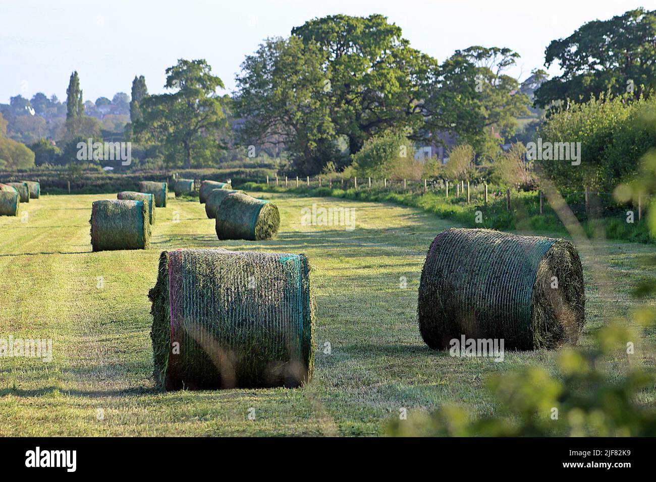 Hay stored outdoors hi-res stock photography and images - Alamy