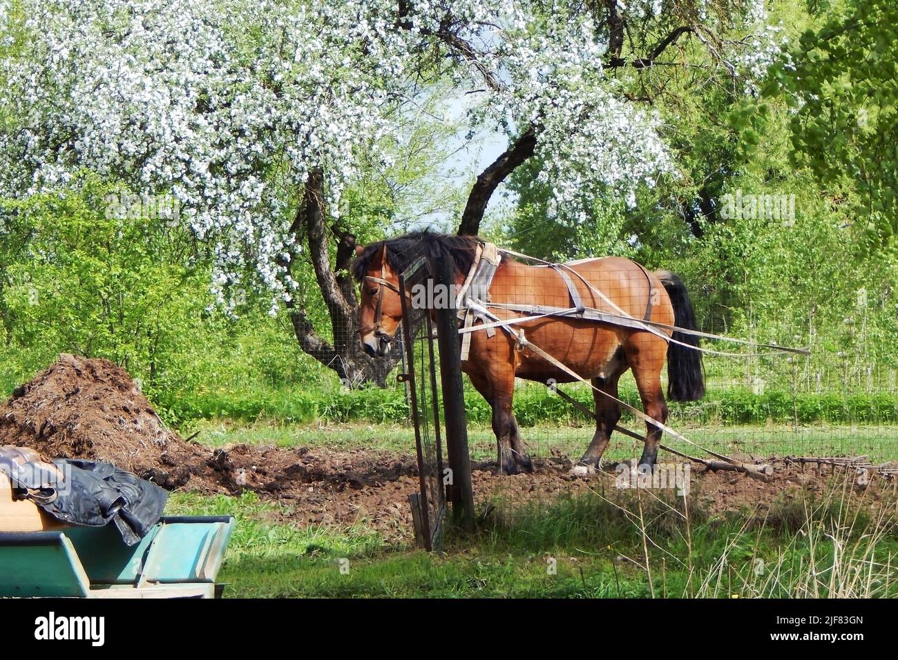 Horse plows hi-res stock photography and images - Alamy