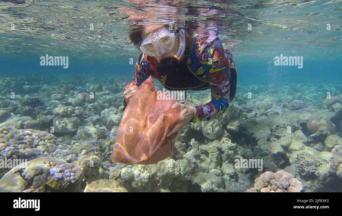Woman in diving equipment swims and collects plastic debris underwater ...