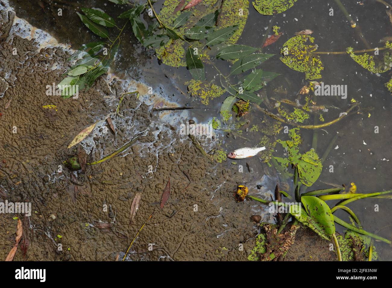 Oil reservoir sea hi-res stock photography and images - Alamy