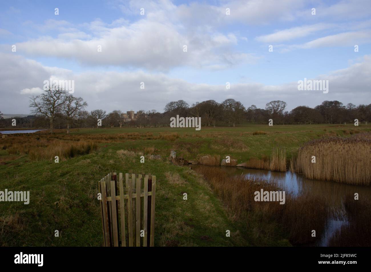 small stream running through a green field with tree and marsh grass in ...