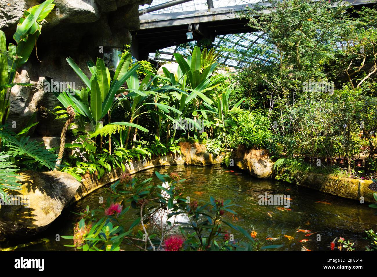 tropical gardens under a geodesic dome with plants and a pond with fish ...