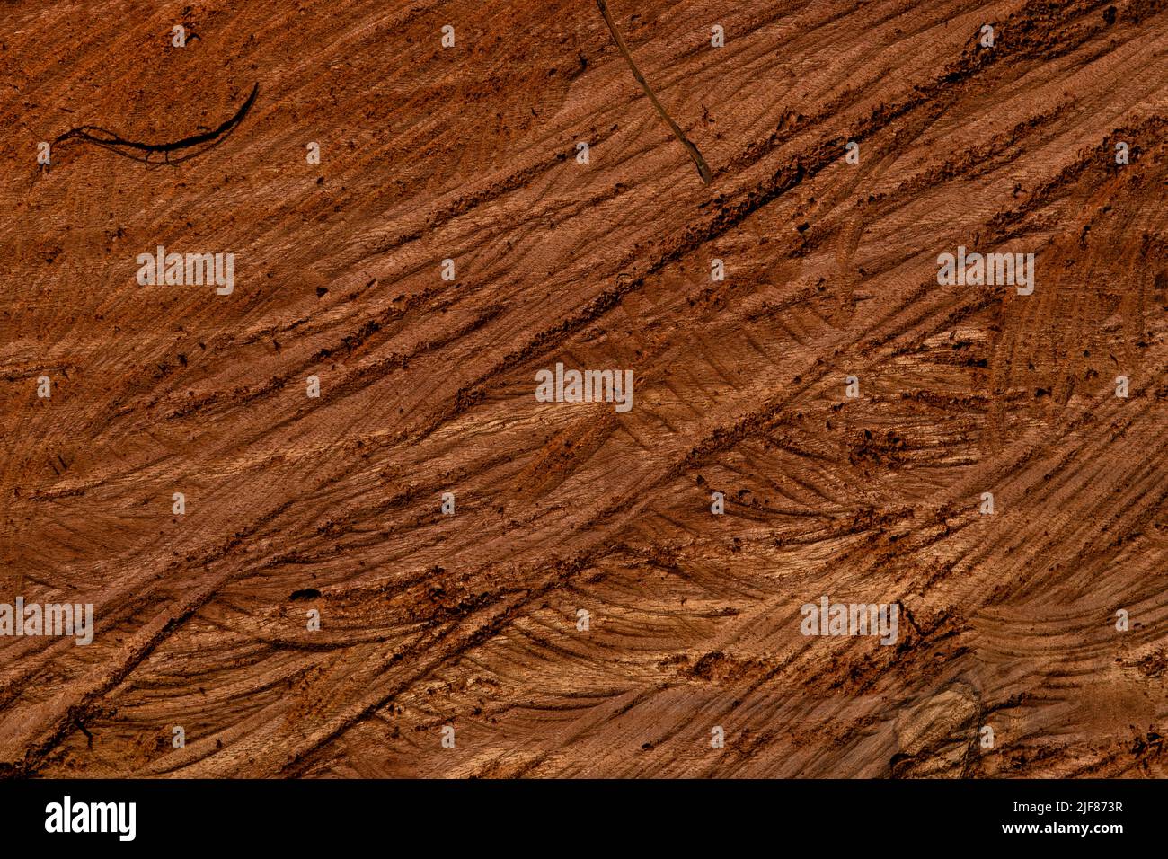 wood piece texture cut with chainsaw Stock Photo - Alamy
